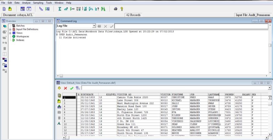 ACL (Audit Command Language)