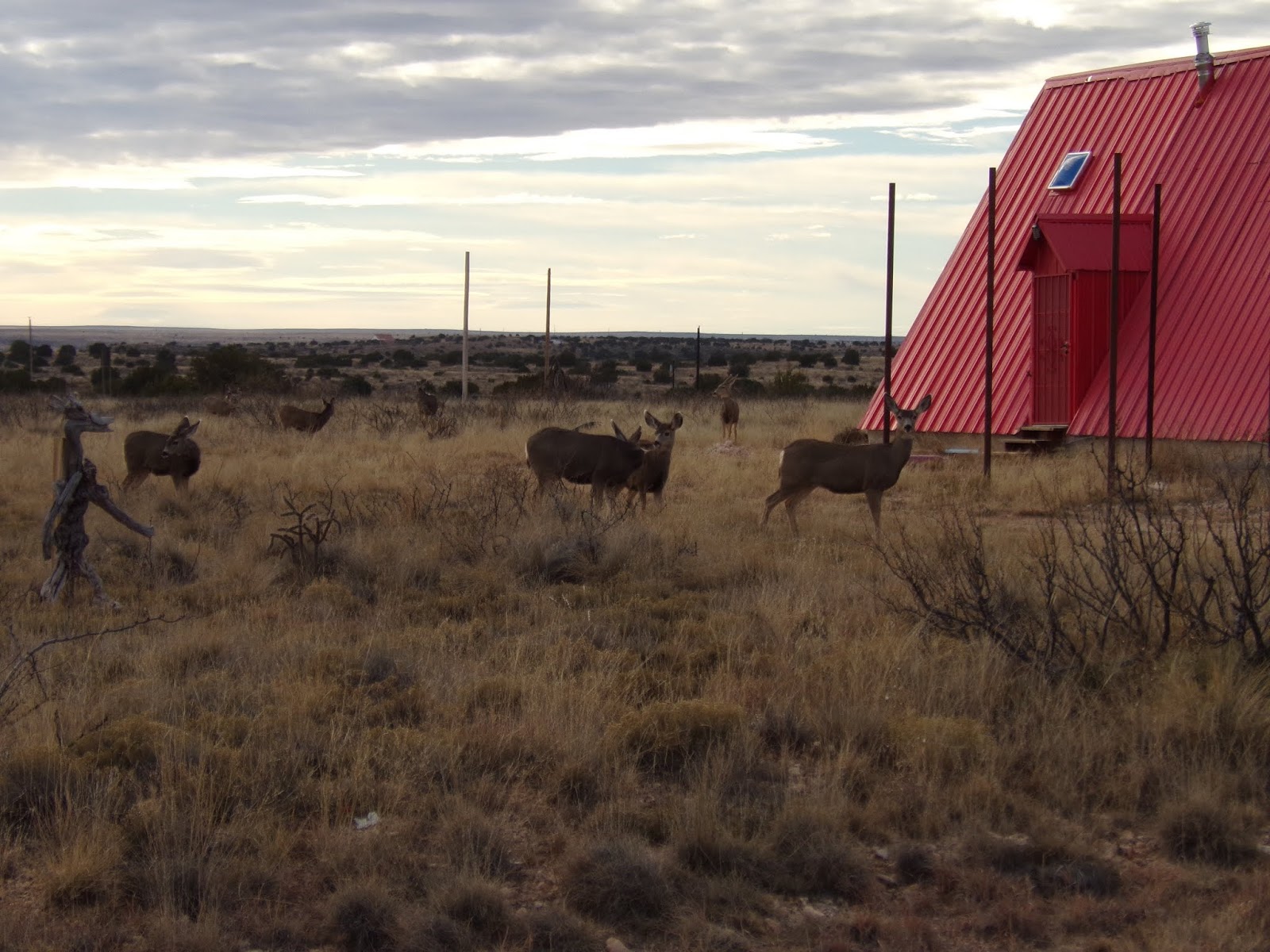 Sumner Lake State Park, Fort Sumner, New Mexico