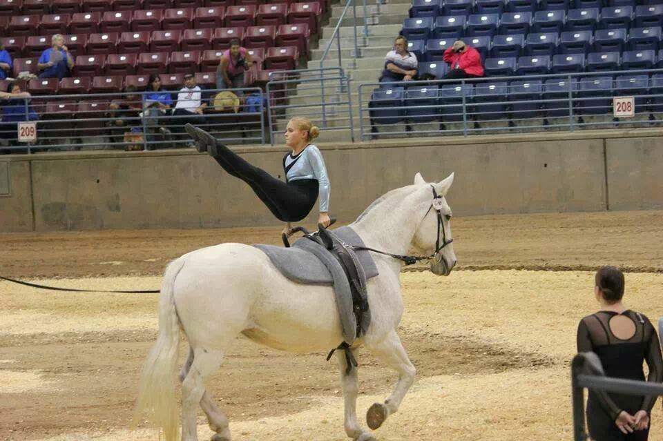 Saltzworks: Region 1 Equestrian Vaulting Championships