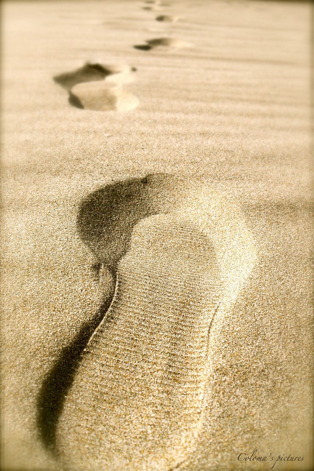 La REZ: Pequeños grandes pasos