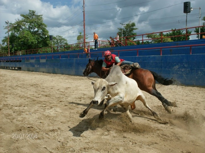 Paz para Venezuela: Toros coleados y "El brother"