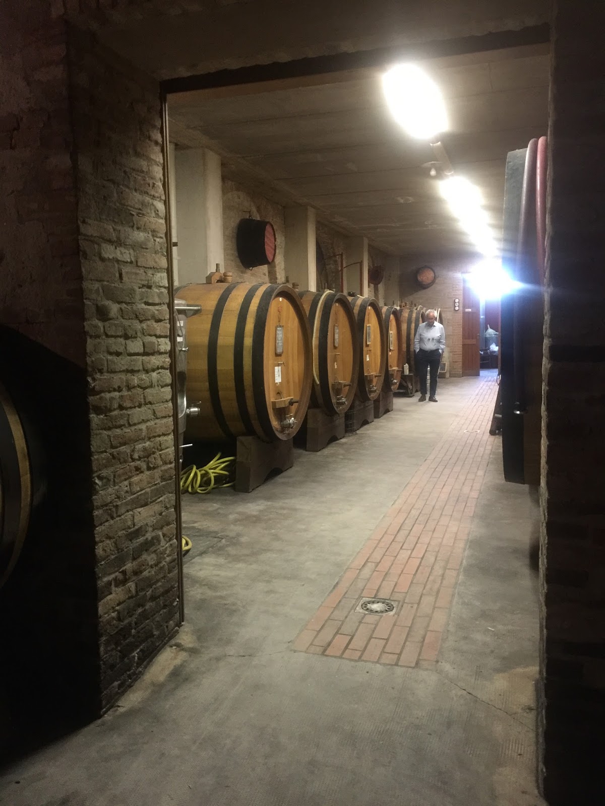 Wine -- Mise en abyme: A visit to Cantina Giuseppe Rinaldi (Barolo ...