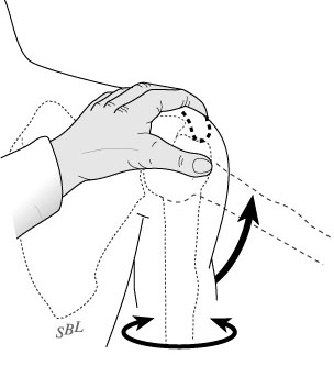 UW Shoulder and Elbow Academy: Rotator Cuff 6 - Clinical examination ...