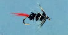 Fly Fishing with Doug Stewart: Flying Ant Patterns