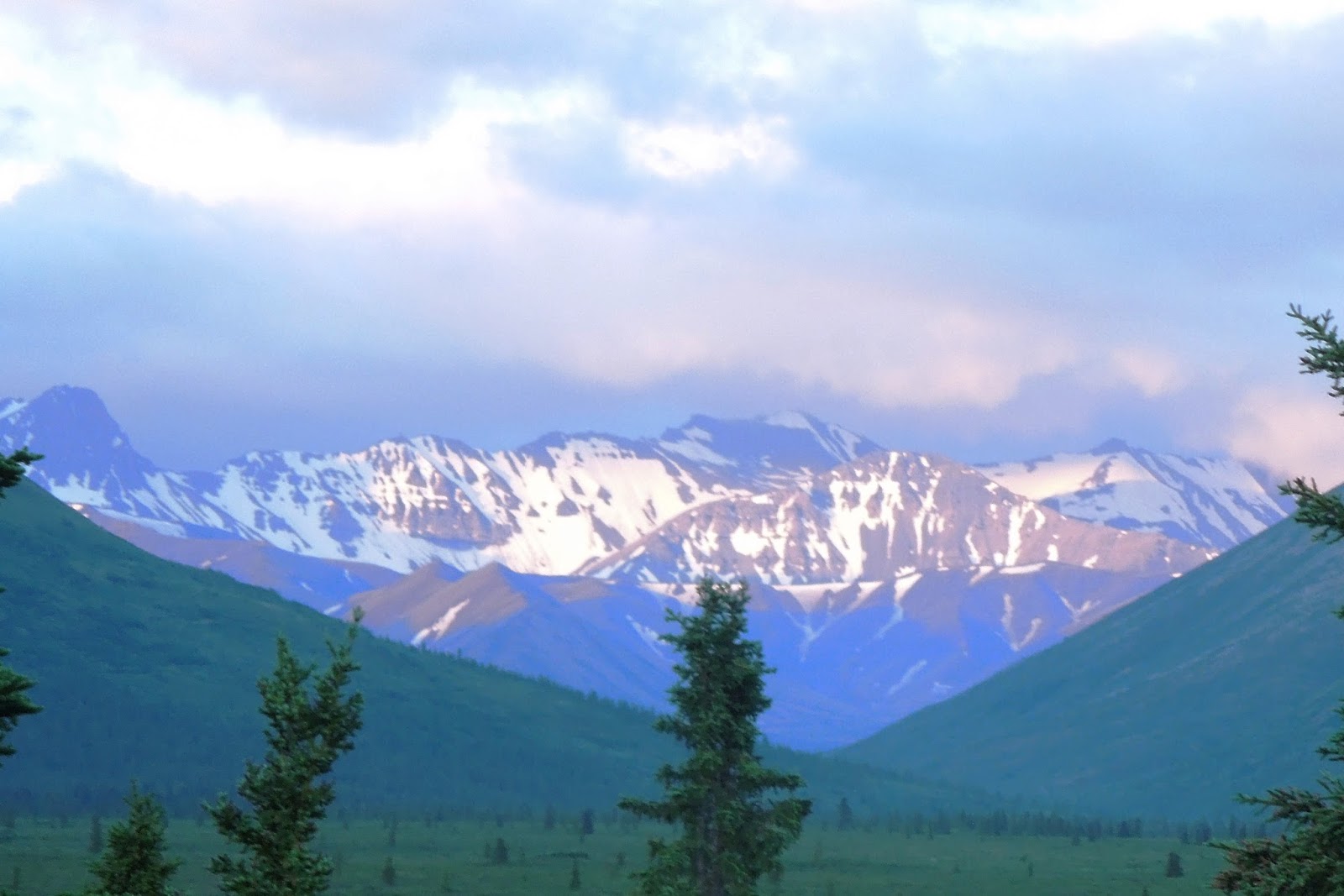 Travels of Pauline and Chuck: Denali, the Great one, June 22nd about.