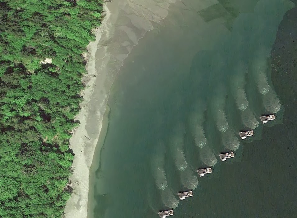 Protect Our Shoreline News: Dive Harvesting of Nearshore Geoduck Farms ...