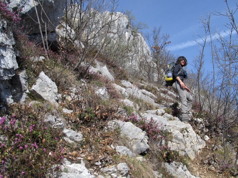 Escursionismo a 360°: Le creste di Pregasina (EE)