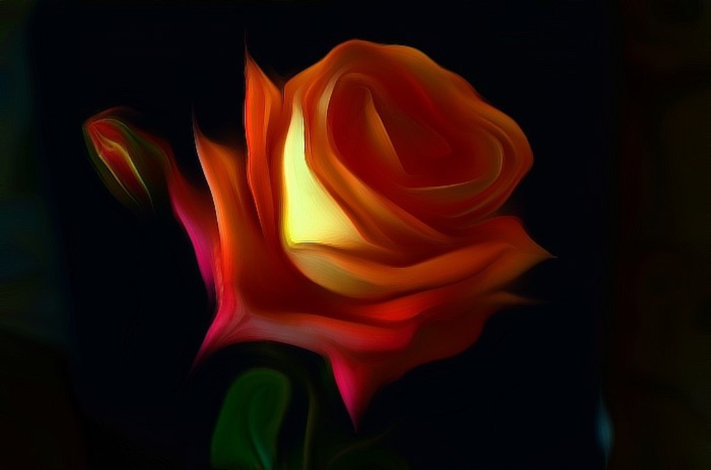 ps-pictureshop: Rose, Roza, hoa hồng, Roses, faqekuq, ruže, roser, roses,