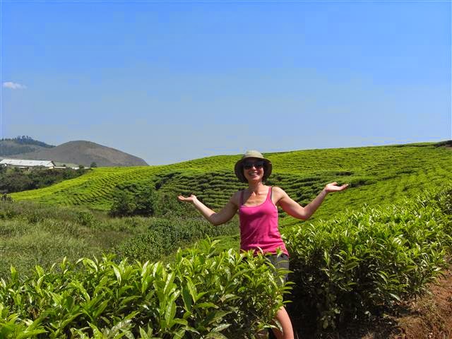 Farm to Market Project: Tea time update