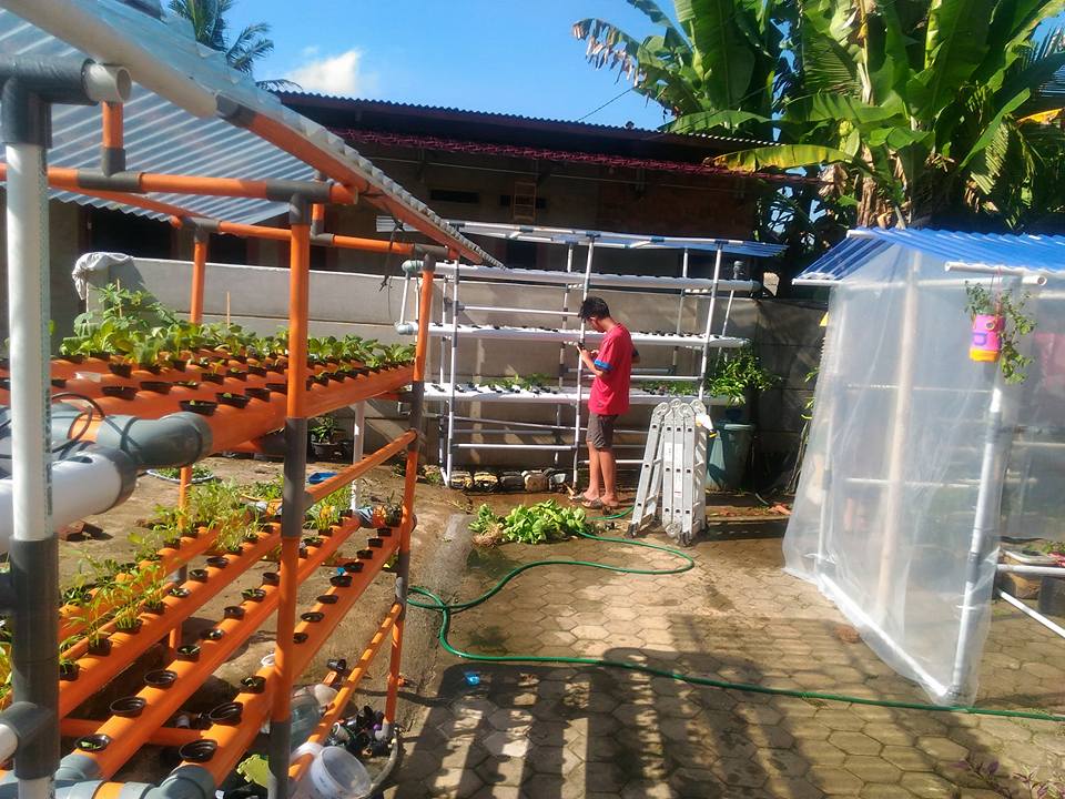 Ide Terkini 52+ Rak Tanaman Lahan Sempit