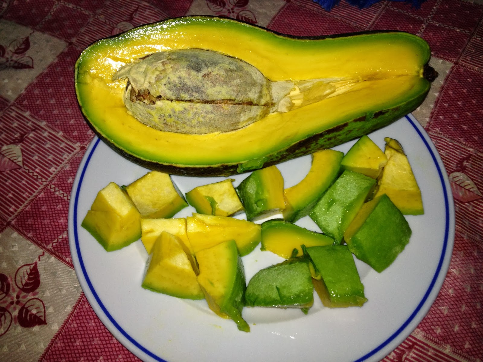 Aguacate cubano. ¿Es el AGUACATE oriundo de Cuba? ~ GeNeRaCiOnAsErE ...