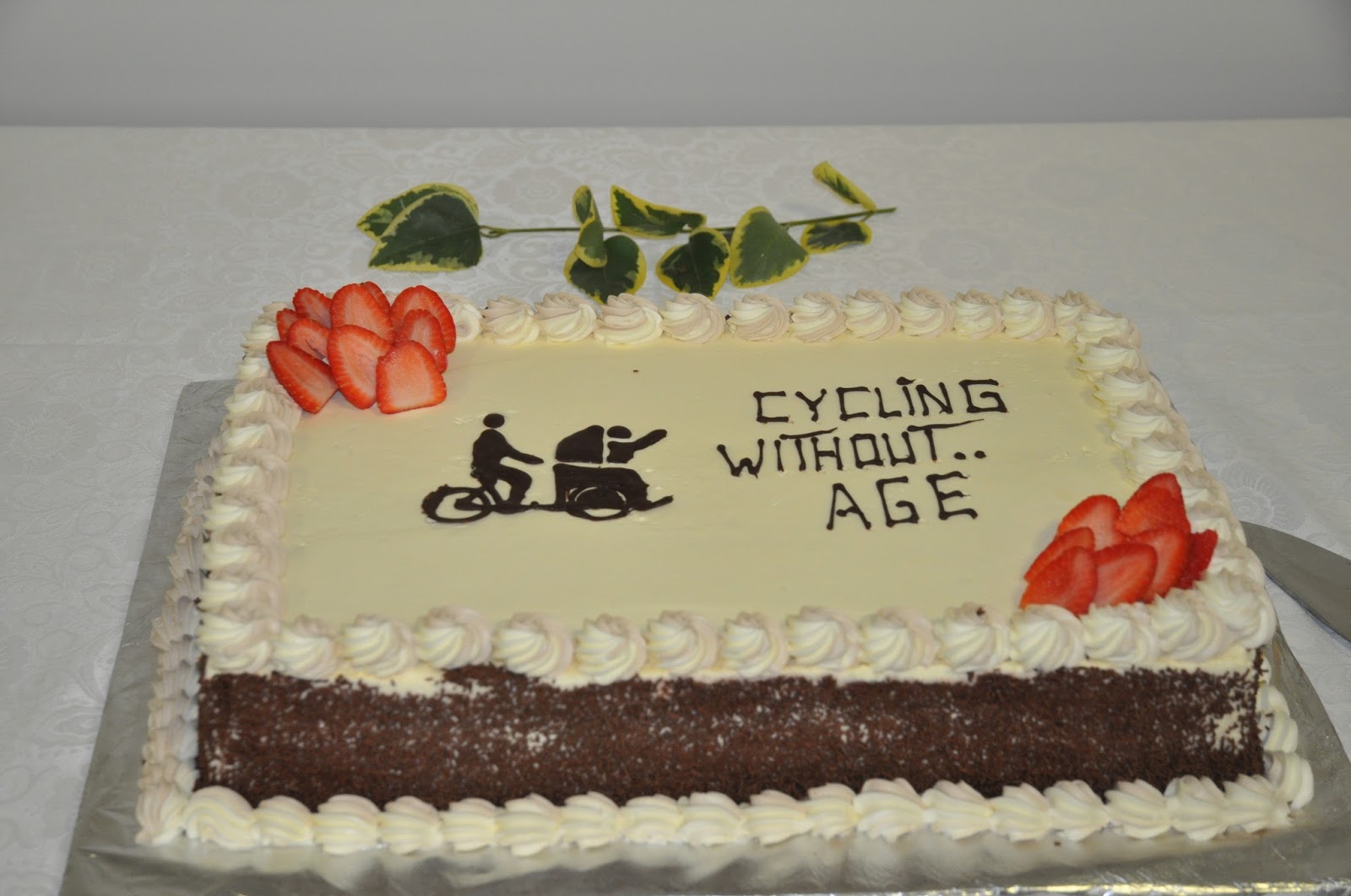 Freedom Cyclist (ad-free advocacy): Cycling Without Age Murrurundi ...