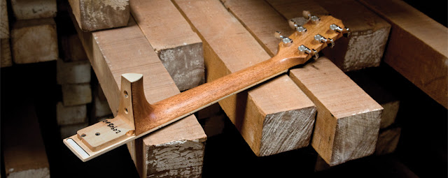 8 Jenis Kayu yang Digunakan Untuk Membuat Gitar Akustik - Siddix