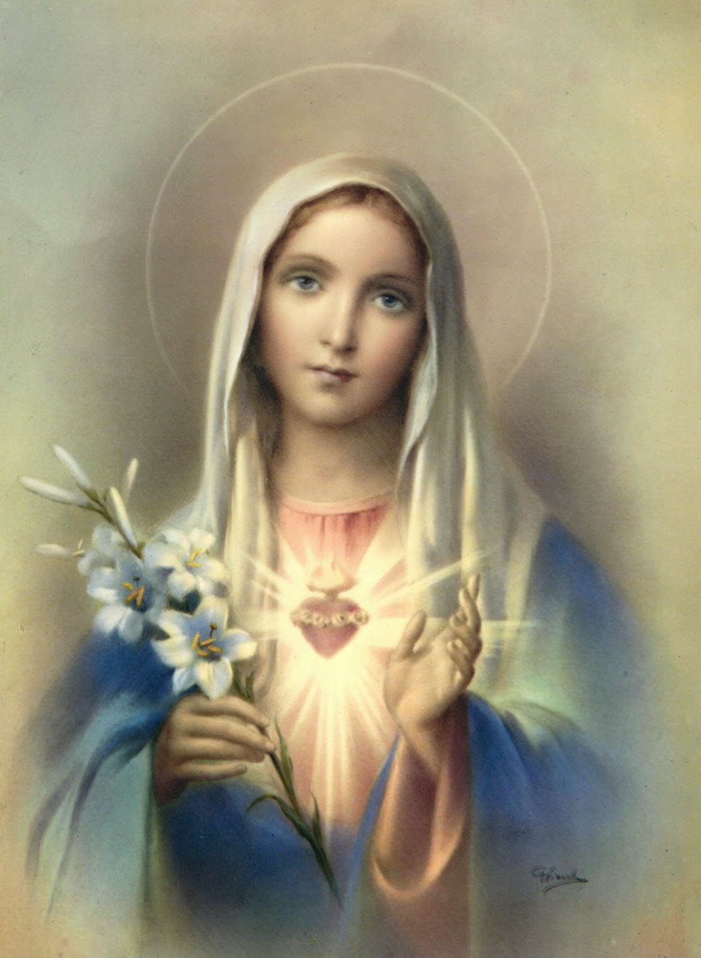 VIVA A VIDA: Ave Maria Santa Maria