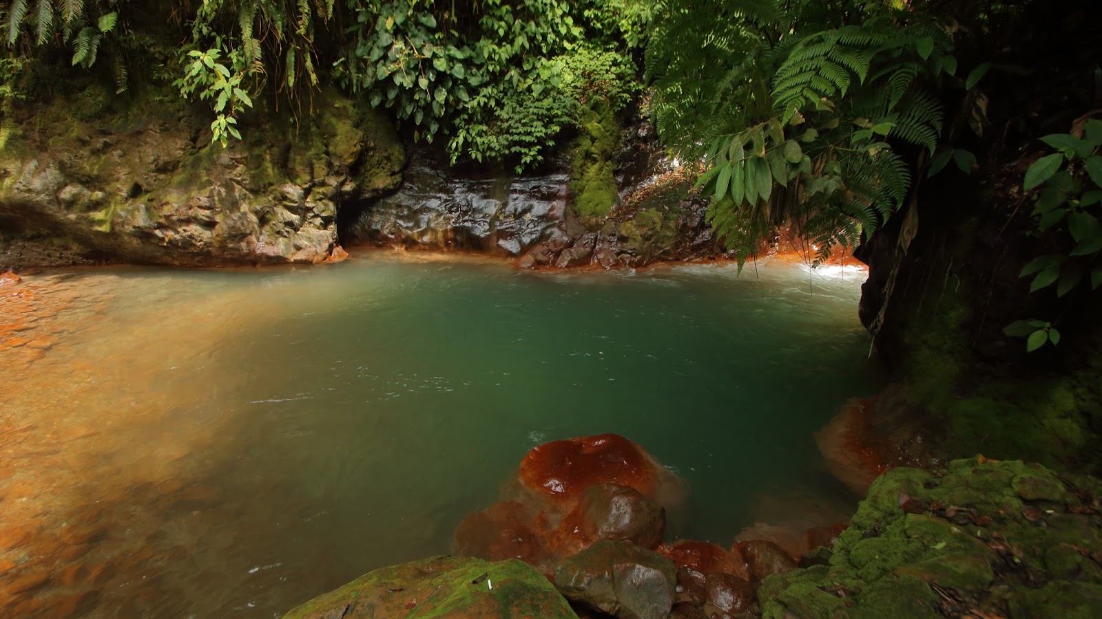 Taman Nasional Gunung Halimun Salak: Mengunjungi Curug Ciparay Muara ...