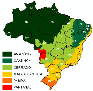 Professor Wladimir - Geografia: BRASIL - Mapas de Biomas, Ecossistemas ...
