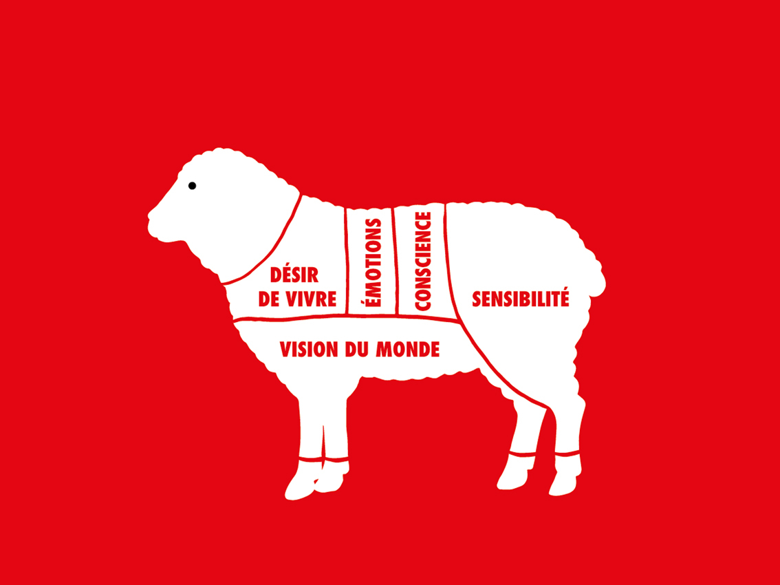 hypathie - Blog féministe et anti-spéciste: Les animaux ne sont pas ...