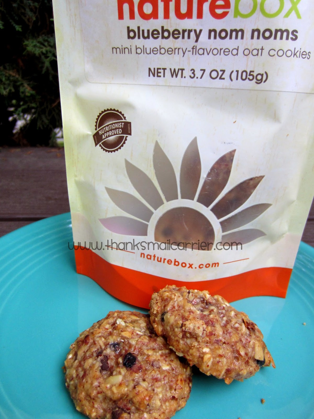 Thanks, Mail Carrier | Make Snacking Quick, Easy and Healthy with ...