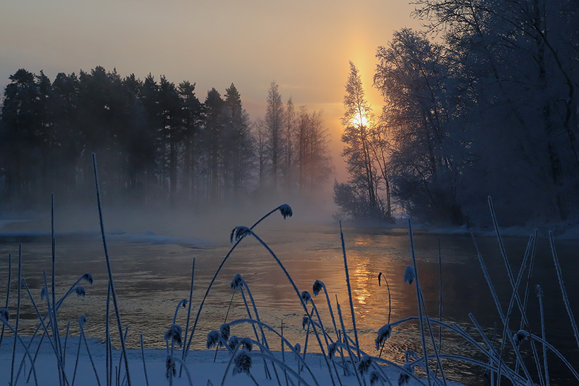seita: Punainen aurinko