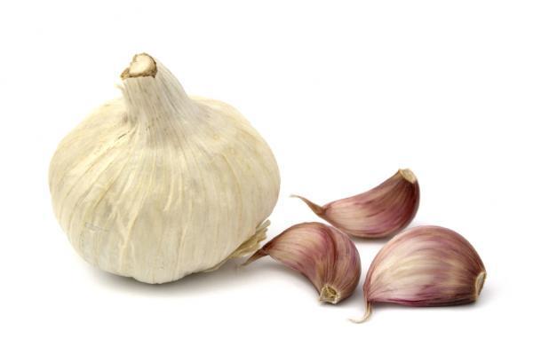 The Path to Happiness: Garlic Facts Remedies and Health Benefits of Garlic