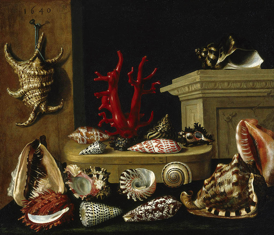 FRENCH PAINTERS: Jacques LINARD Nature Morte aux Coquillages et au Corail