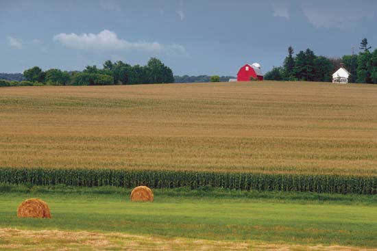 Illinois Farm Land Sale