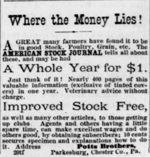 19th Century Historical Tidbits: 1875 Advertisements and Story Starters