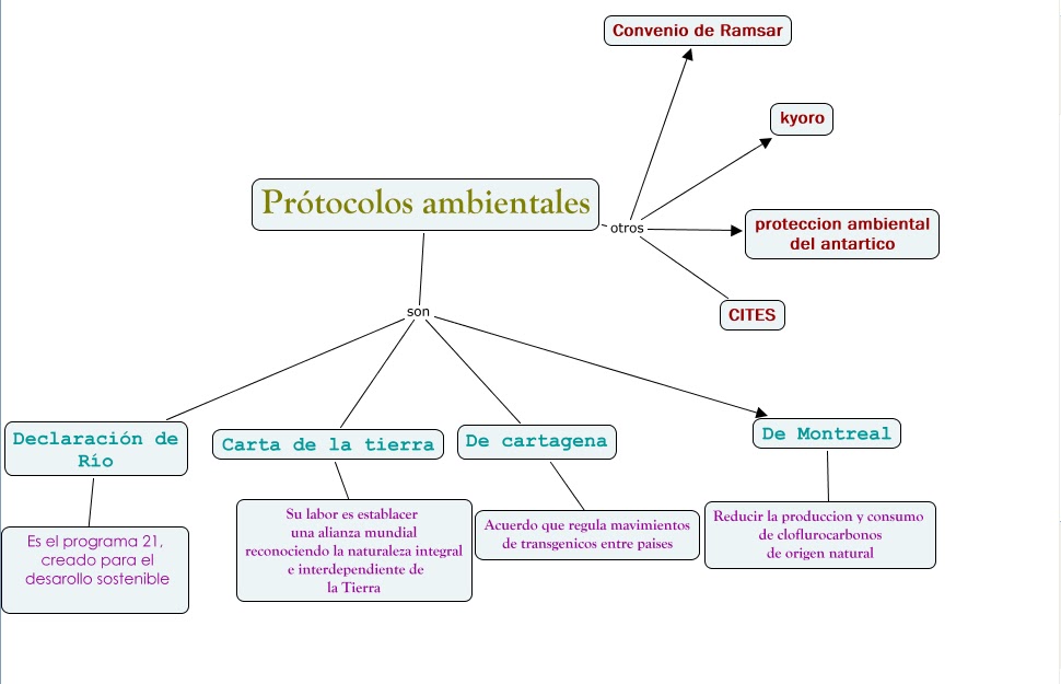 Códigos éticos ambientales: Mapa Conceptual