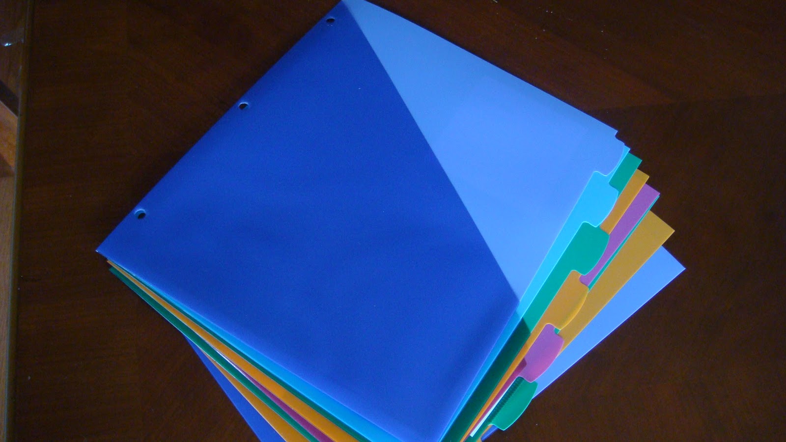 Rosey Glasses: Family Master Binder: Getting Started