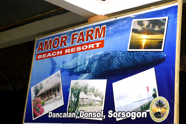 my greatest opponent: Donsol's Butanding