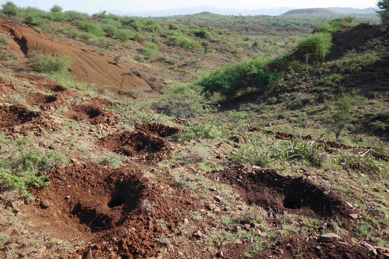 SETHiopia: A Focus on Watersheds – Part 2: Stone Bands, Micro ...