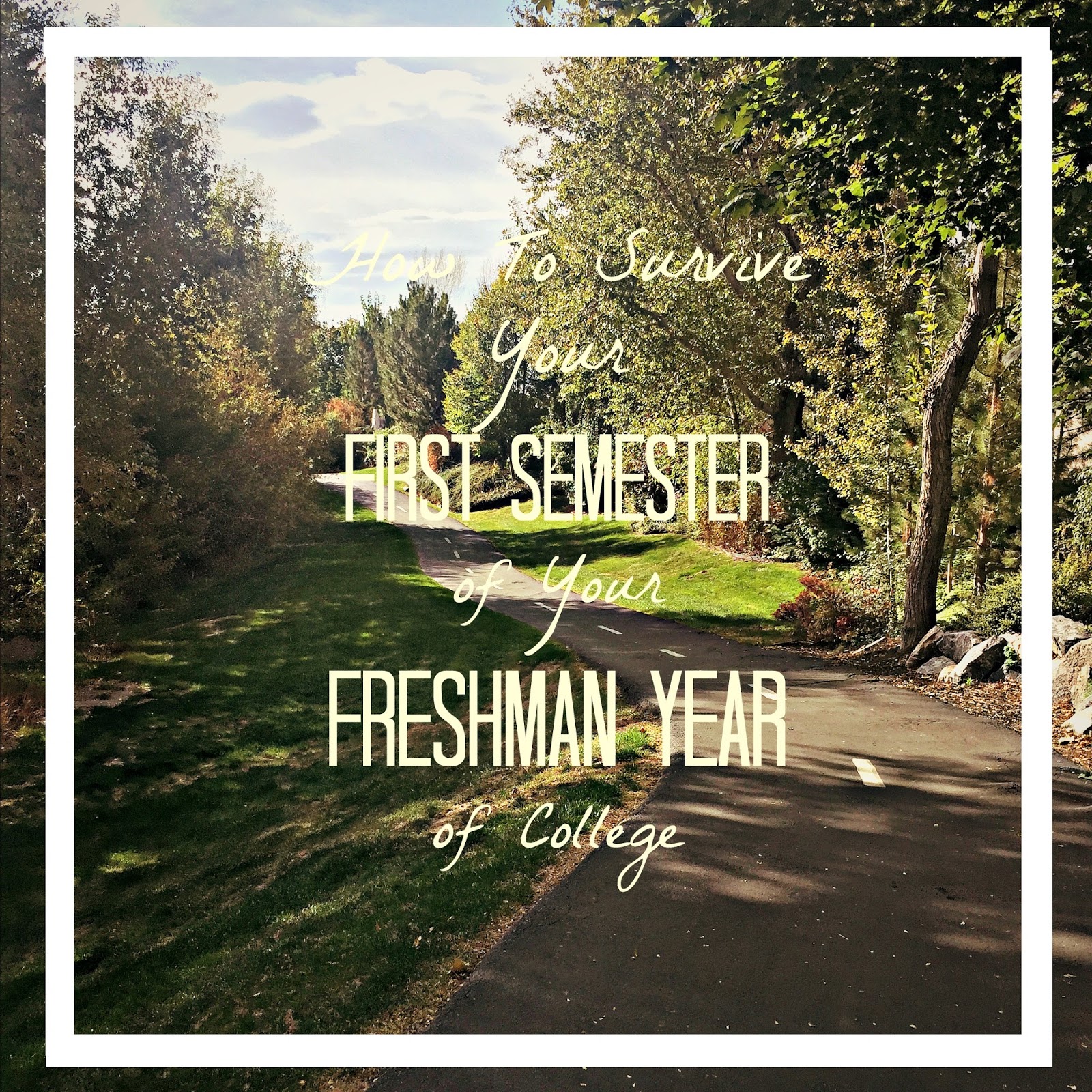 Great Adventures of Alli: How To Survive Your First Semester of ...