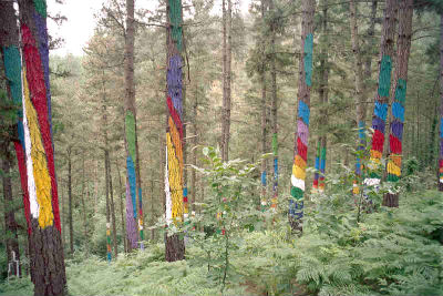 Blog 75: Arts: Land art-Divers artistes