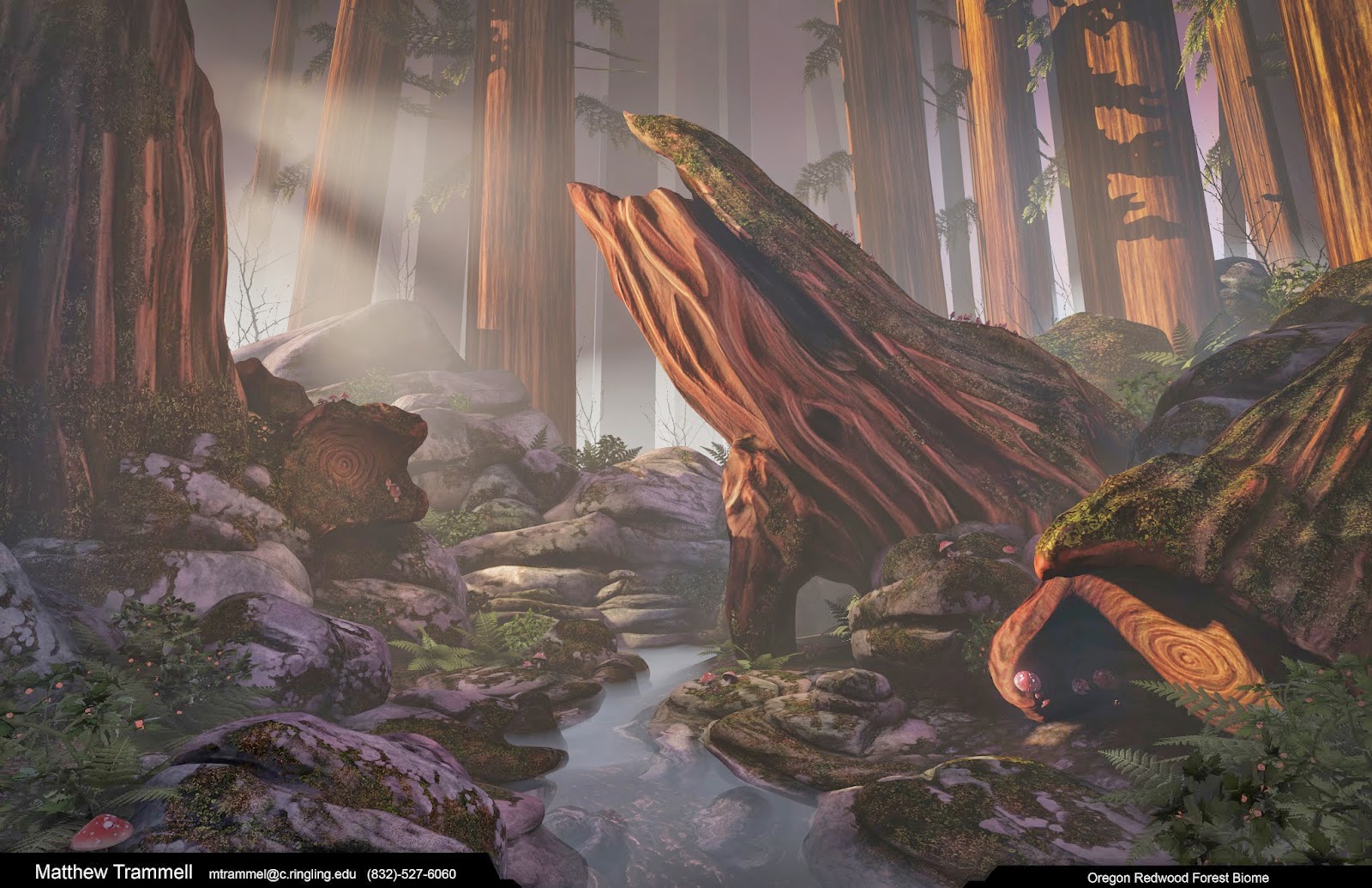 Matthew Trammell's Gateway to the Multiverse!: Portfolio