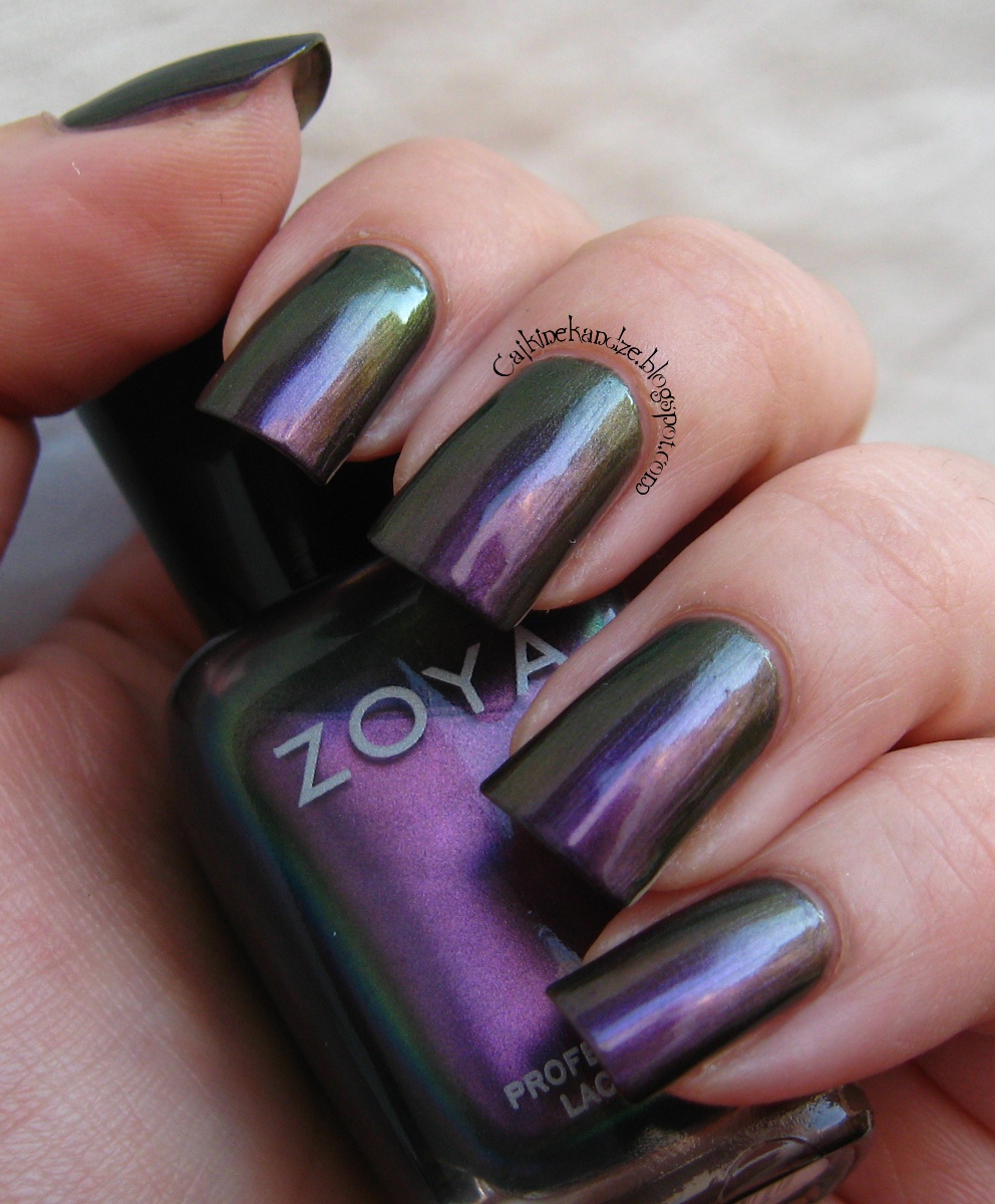 2013 | Cajkine kandže i sve njihove boje