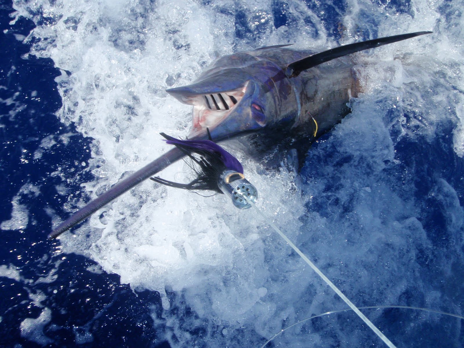 Confessions of a Cabana Boy: Fishing Marshallese Style