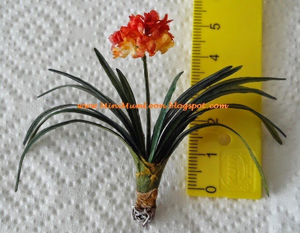 MiniMumLoon: Zuster Klivia / Nurse Klivia