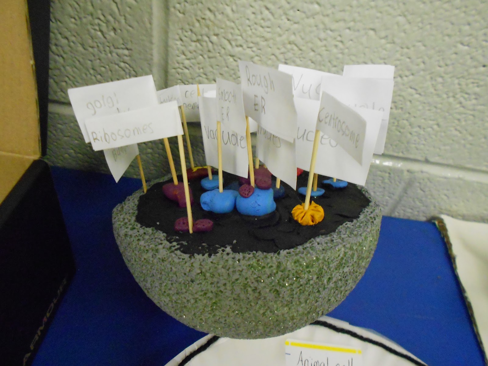 Mrs. McDonald's 4th Grade: Make a Cell Model Project