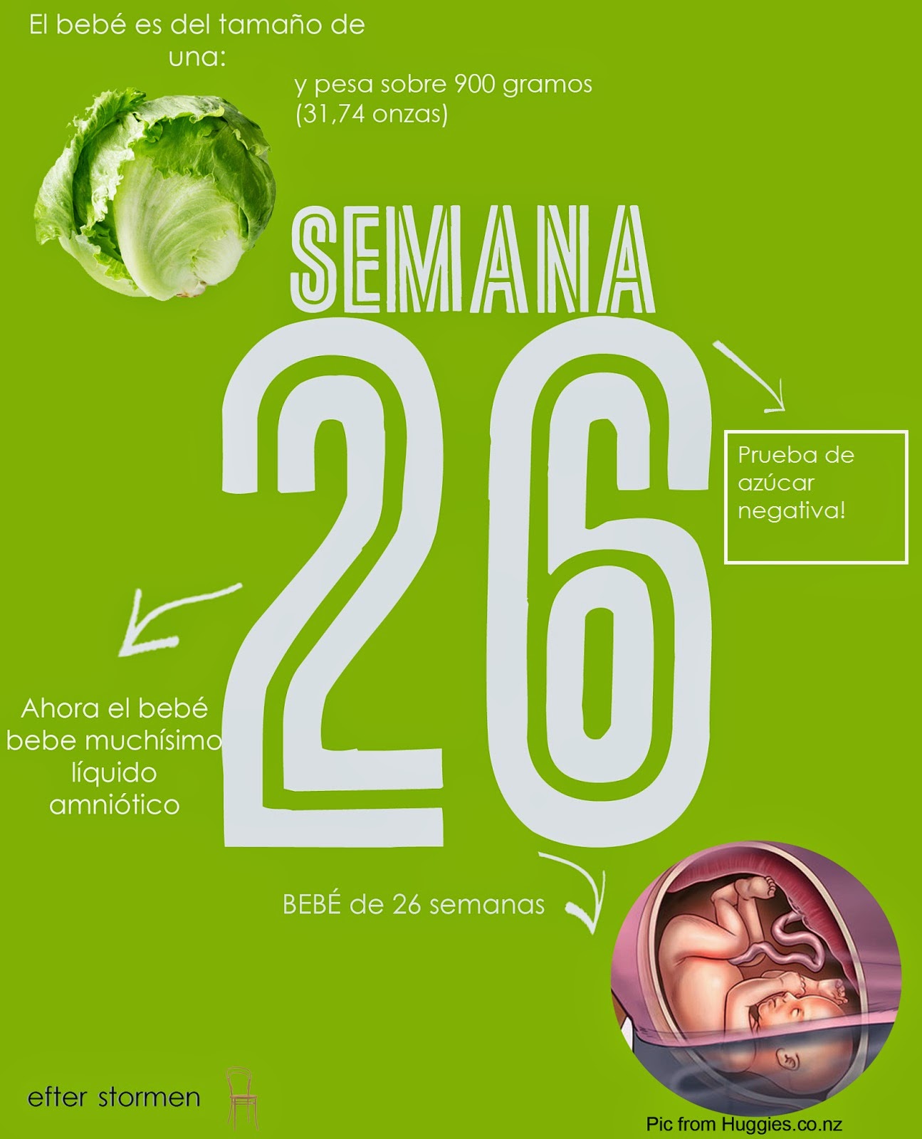 El Rincon de Marttita: Semana 26