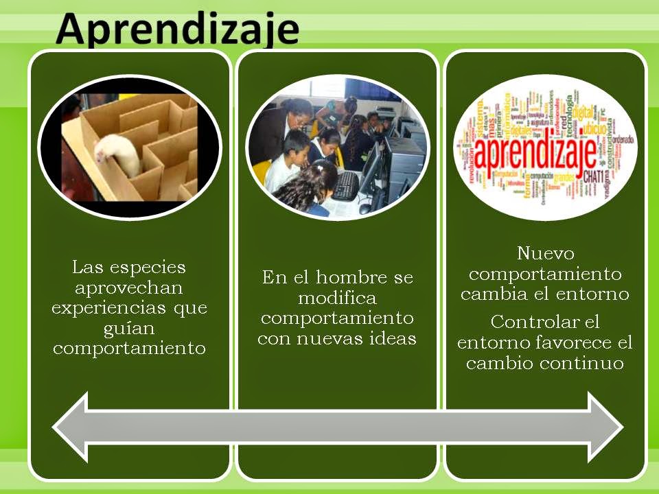 PROCESOS Y AMBIENTES DE APRENDIZAJE: Conductismo y neoconductismo
