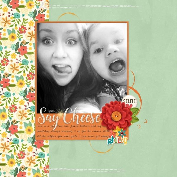 Newest Releases: Snapshot, Slides & Snapshot Journal Cards | Clever ...