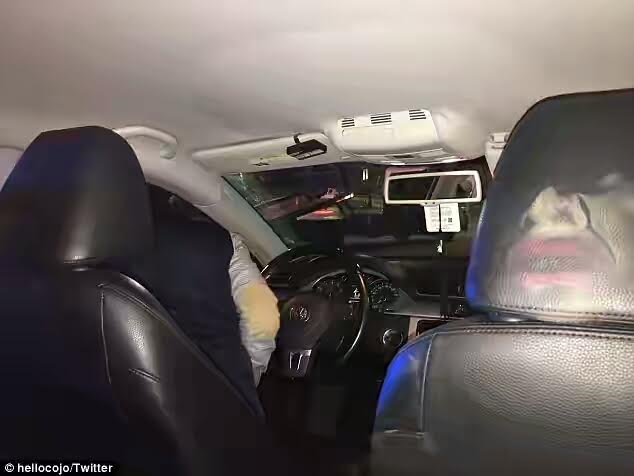 See these really funny photos from an accident scene