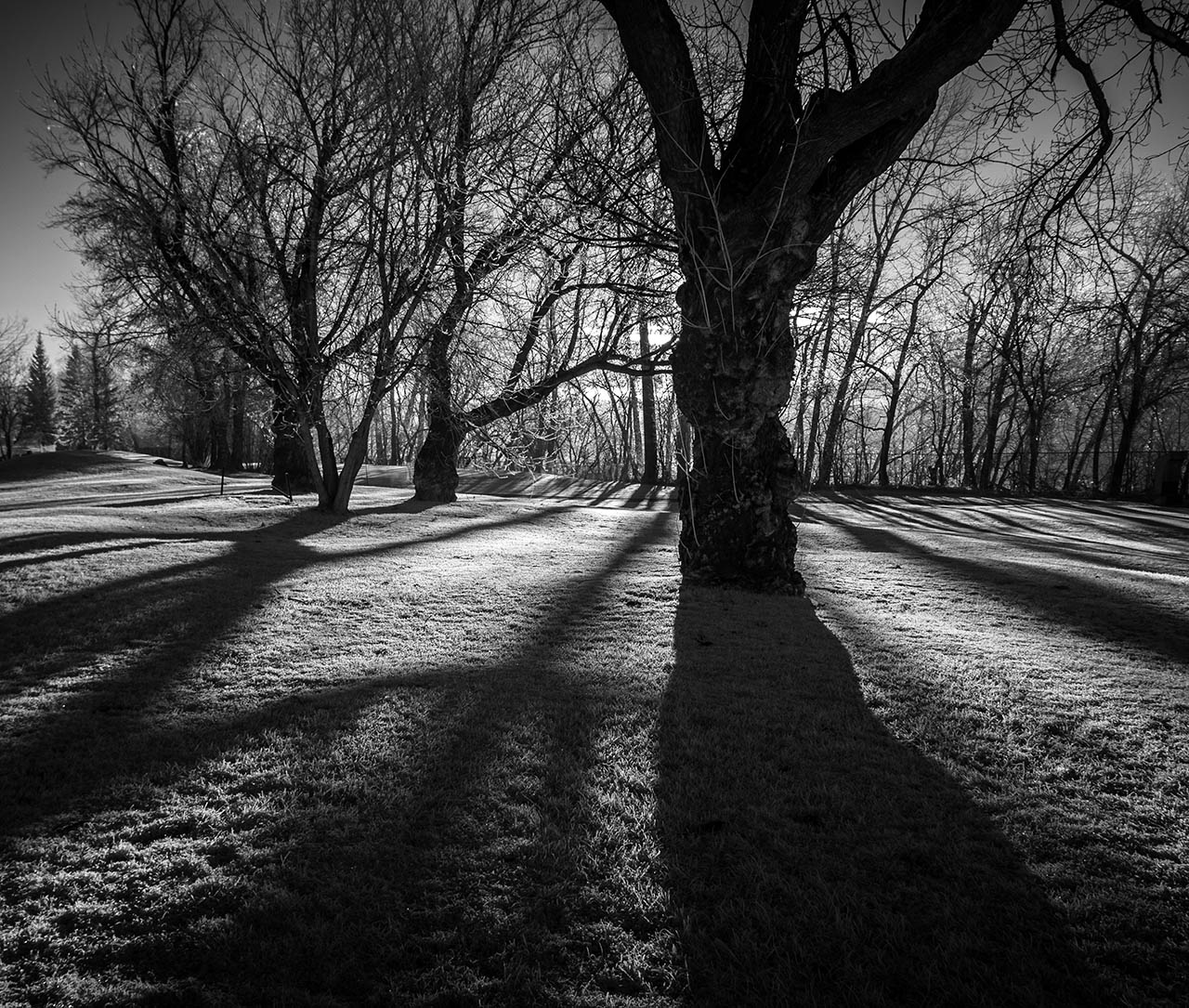 Jim Cox Photos: Morning Shadows