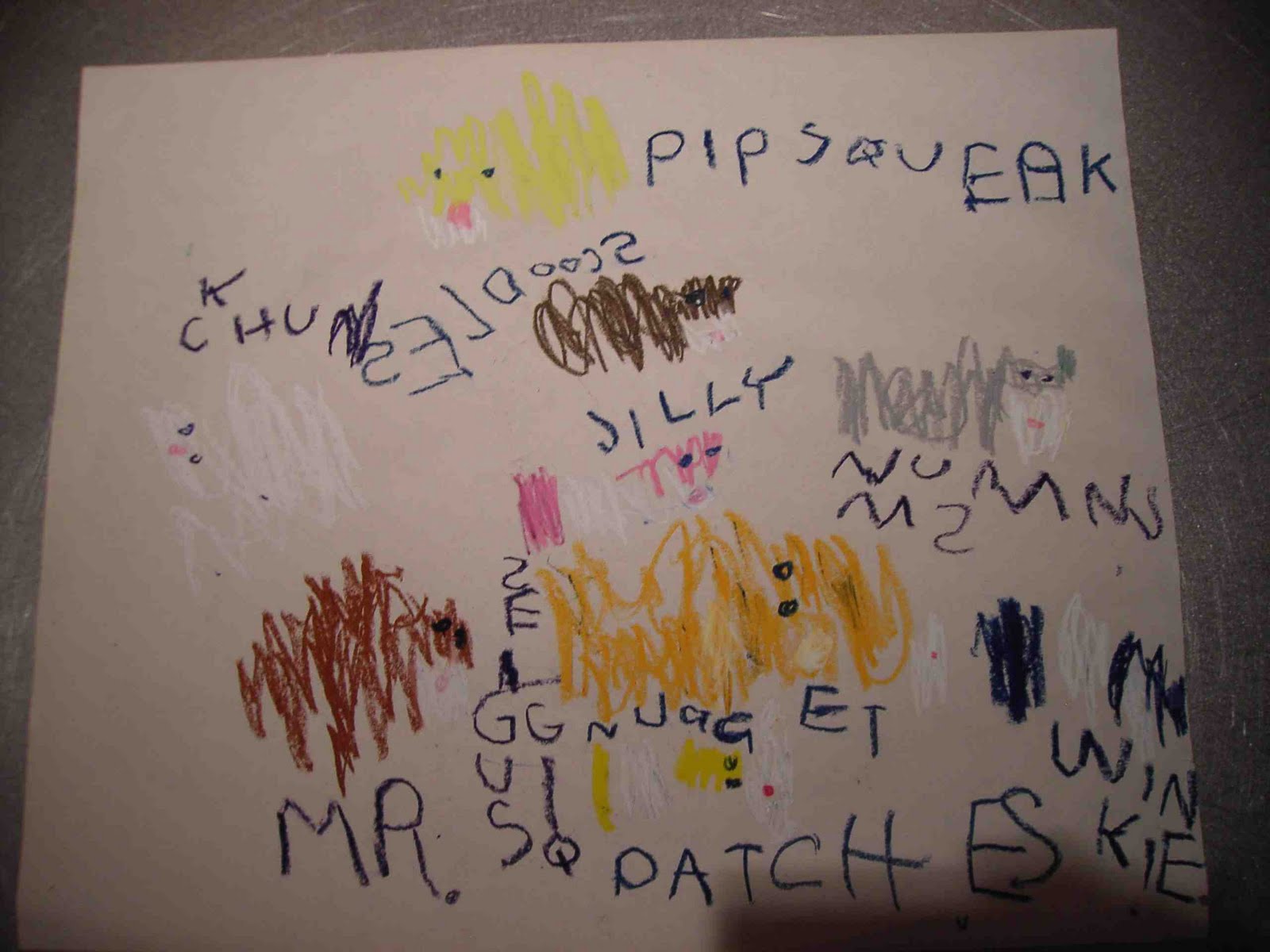 maureen's blog: Zuzu pets