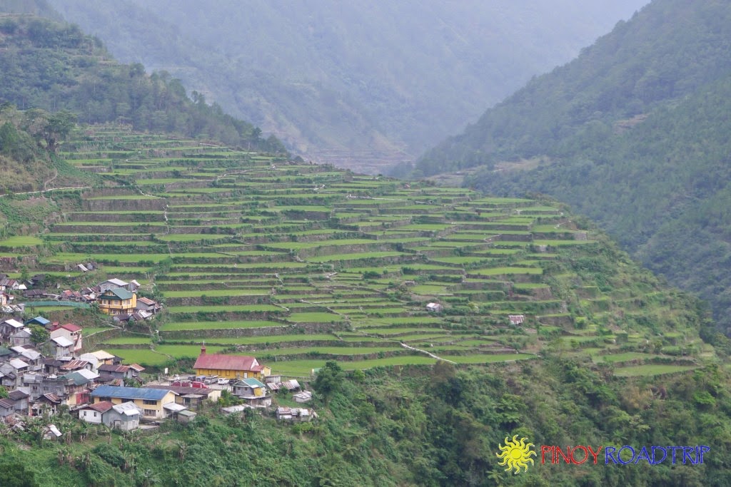 Pinoy Roadtrip: The Road from BANAUE to SAGADA: BAYYO RICE TERRACES ...