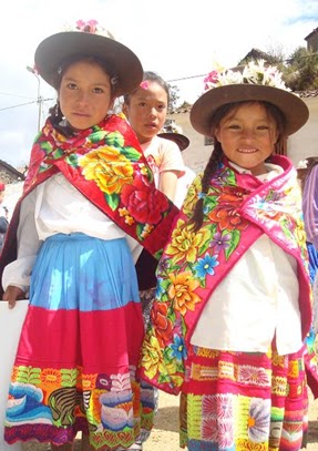 RED MIP: “Fortaleciendo las Capacidades para la Convivencia Comunal con ...