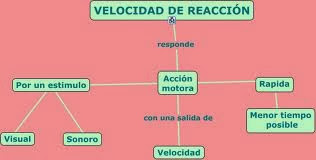 Educación Física en la Red: La velocidad de reacción