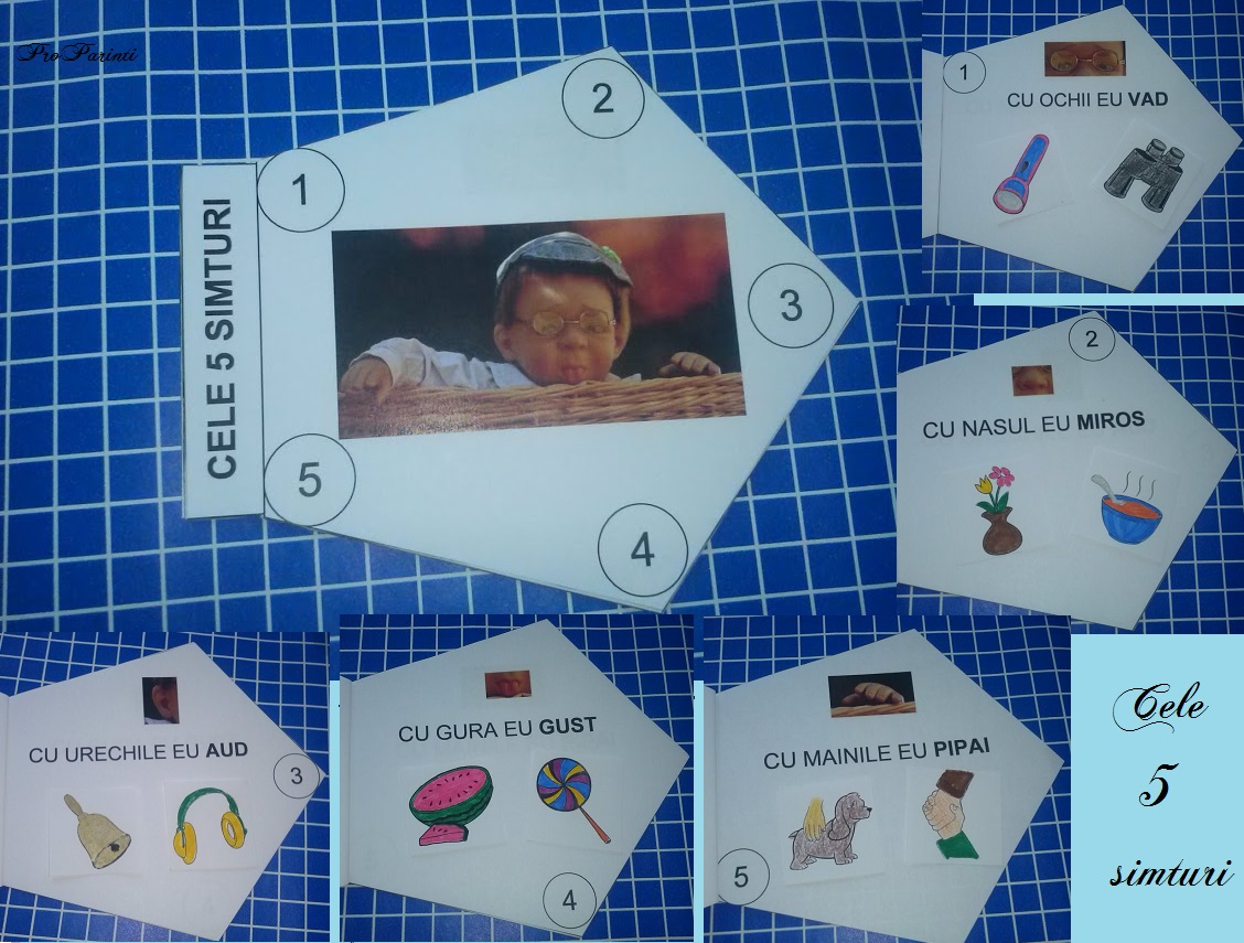 proParinti: Carticica pentagon ”Cele 5 simturi” - personalizata