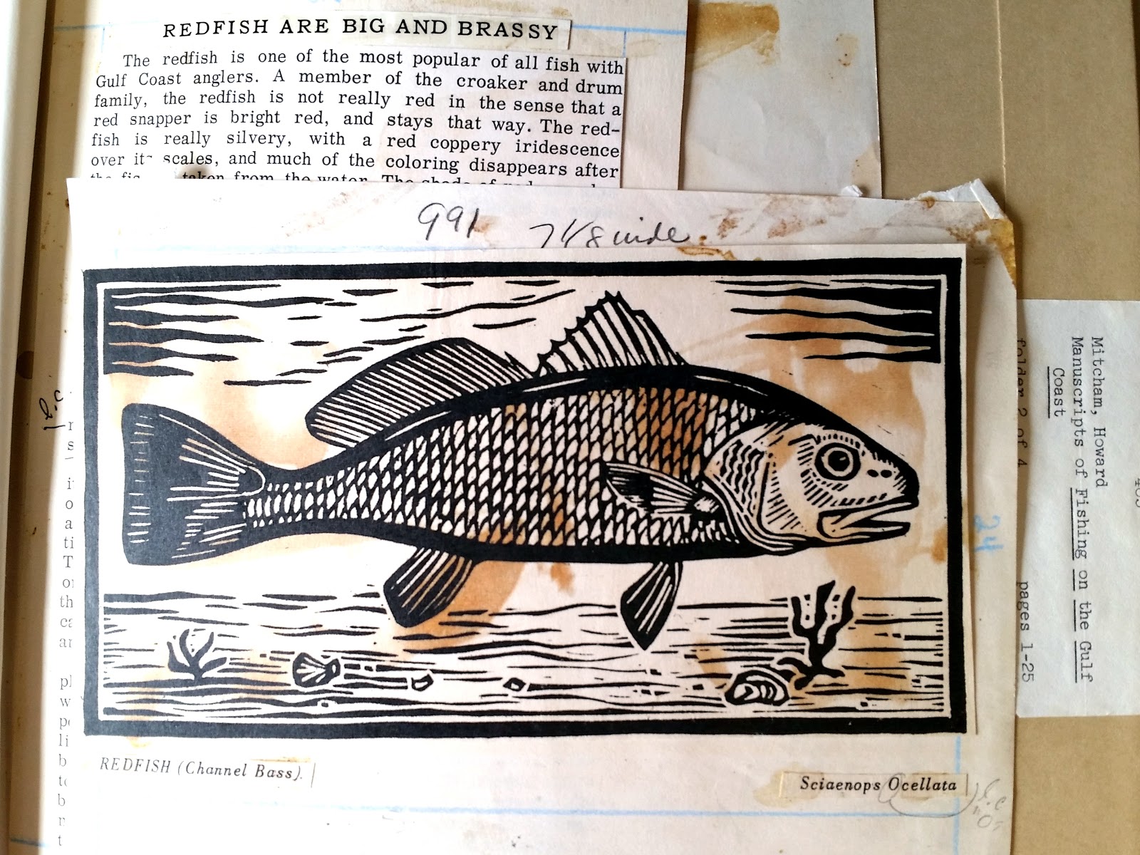 Art and recipes-- Howard Mitcham's fish