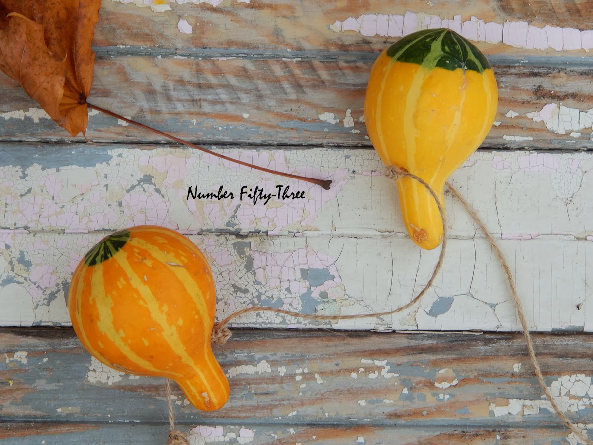 Number Fifty-Three: Simple Fresh Gourd Garland